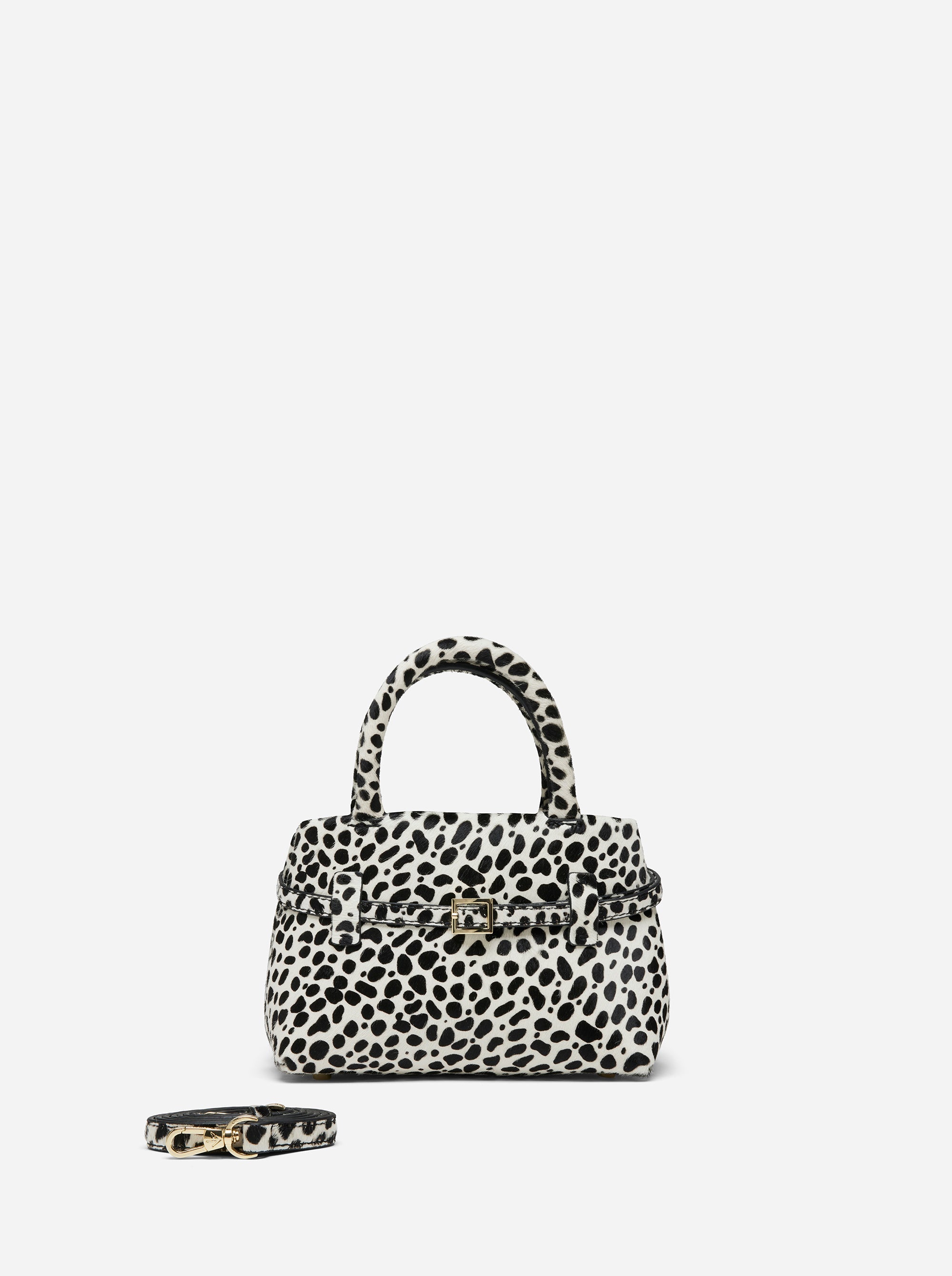 Le Cambon 20 Dalmatian by Manu Atelier